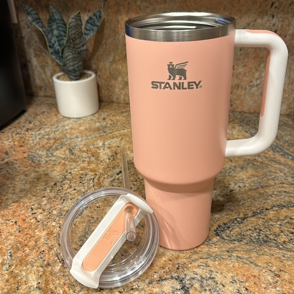 Stanley | Dining | Stanley 4 Oz Stainless Steel H20 Flowstatequencher ...